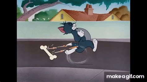 Tom And Jerry Fighting 