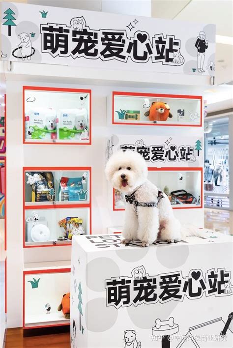 禁止宠物入内”不如 宠物友好”，购物中心如何建立人与宠物 双向友好”环境？ 知乎