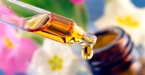 როგორ გამოვიყნოთ ქაცვის ზეთი სხვადასხვა დაავადებათა სამკურნალოდ
