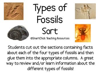 Four Types Of Fossils Sort Packet By Smart Chick TPT