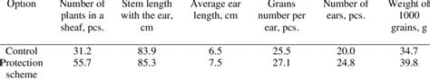 Accounting For The Yield Structure Elements Of Spring Wheat Variety