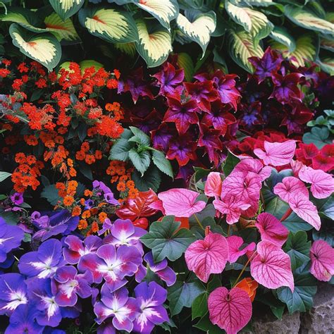 Shade Garden Ideas Creative Designs To Transform Your Shaded Spaces