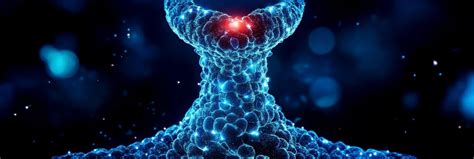 Thyroid Awareness Month 3d Illustration Horizontal Banner Copy Space