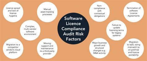 Software Licence Audit Defence Invictus Partners
