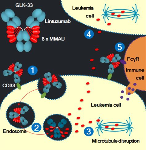 Glk 33 Glykos Biomedical