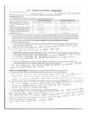 Lab 1 Biological Investigation Answer Sheet Pdf Course Hero
