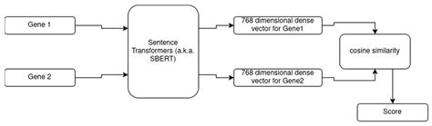 Analyzing At Scale The Effects Of Optimal Global Sequence Alignment On
