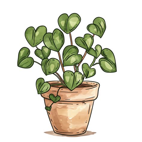 Pot Plants Drawing