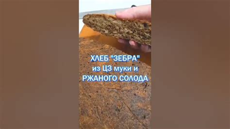 РЖАНОЙ ХЛЕБ С СОЛОДОМ ХЛЕБ ЗЕБРА из ЦЗ муки и РЖАНОГО СОЛОДА