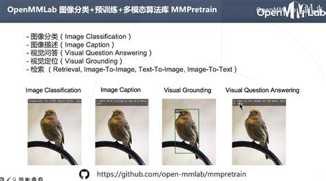 上手OpenMMLab写在最前面OpenMMLab概述 CSDN博客
