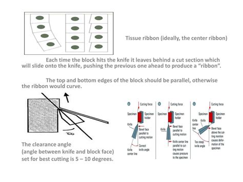 Ppt Chapter 6 Microtomy Powerpoint Presentation Free Download Id