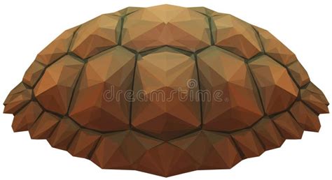 Polygonal Representation Of A Turtle Shell Featuring A Geometric Low
