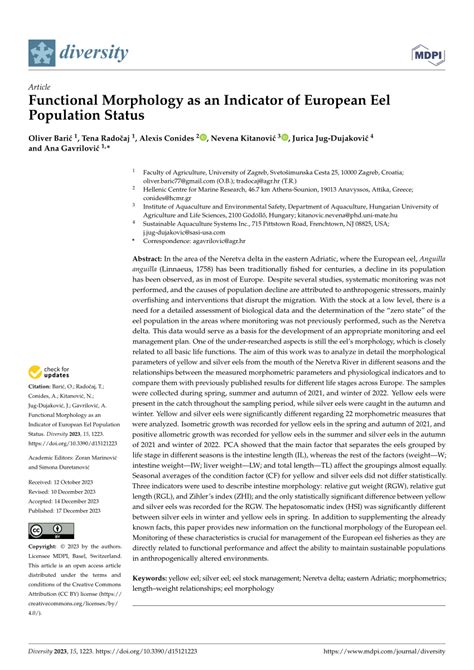 Pdf Functional Morphology As An Indicator Of European Eel Population Status