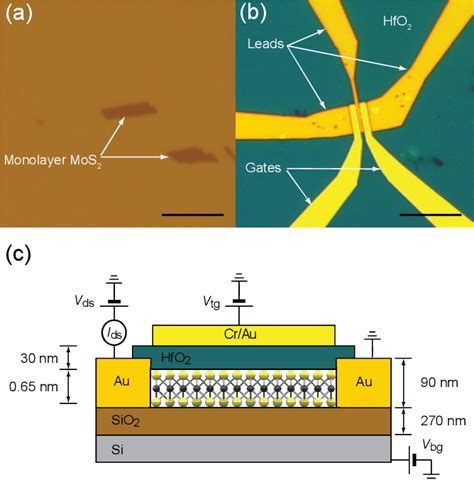Figure 1 From Small Signal Amplifier Based On Single Layer Mos2