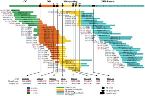 Structural Comparison Of The Identified Sequences To The Known R Download Scientific Diagram