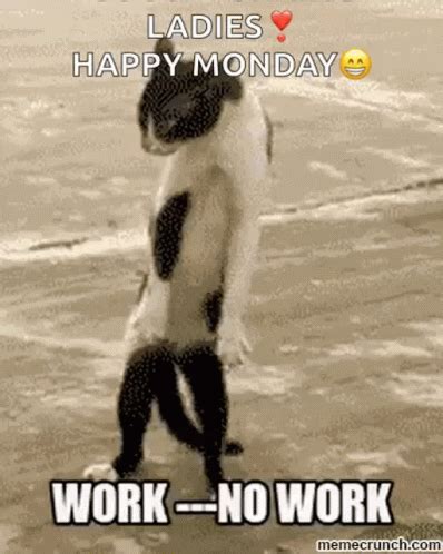 Funny Happy Monday S Tenor