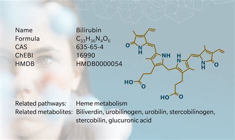 Bilirubin From Waste Pigment To Regulatory Metabolite Biocrates Life Sciences Gmbh