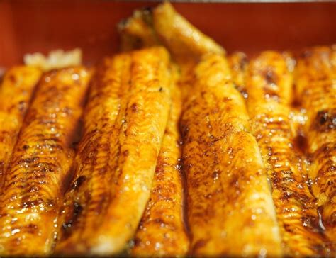 控糖饮食、糖尿病怎么吃、糖尿病饮食专题—控糖指南