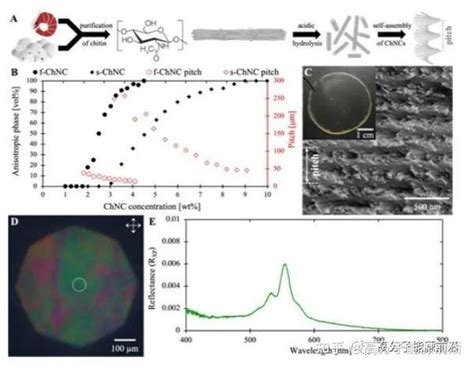 《am》剑桥大学：揭示自组装甲壳素纳米晶体薄膜的结构着色 知乎