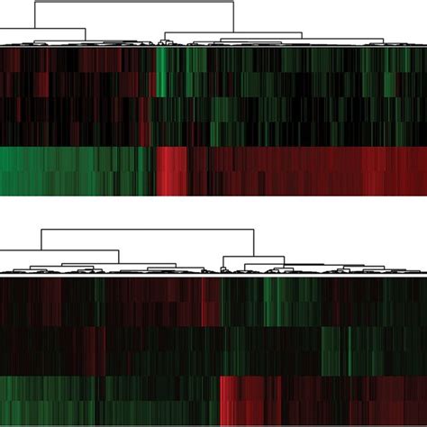 Hierarchical Clustering Of Genes That Were Differentially Expressed