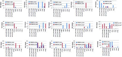 The Expression Patterns Of Duplicate Genes In Different Tissues