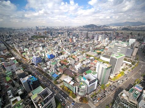 서울세관사거리 강남구청 강남소식 아카이브강남 사진아카이브 서울세관사거리 강남구청 강남소식 아카이브강남 사진아카이브