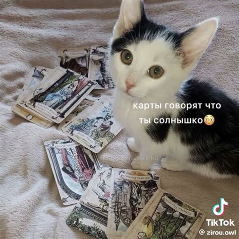 Мемчики #memes - YouTube