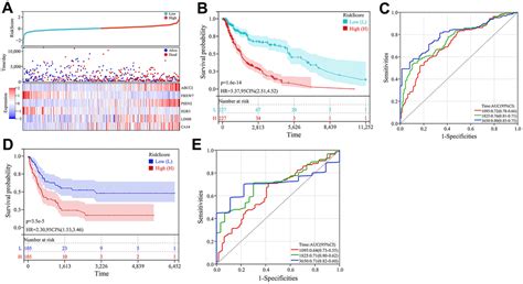 Identifying Novel Circadian Rhythm Biomarkers For Diagnosis And Prognosis Of Melanoma By An