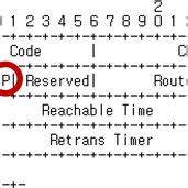Revised Router Advertisement Format Download Scientific Diagram