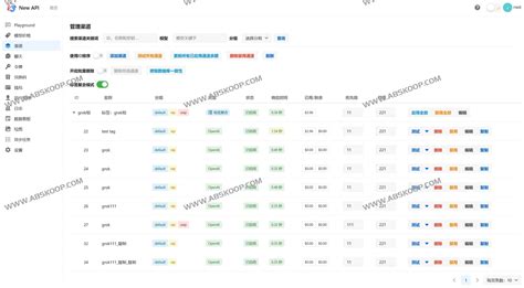 New API开源大模型网关与 AI 资产管理系统 服务商支持 A姐分享