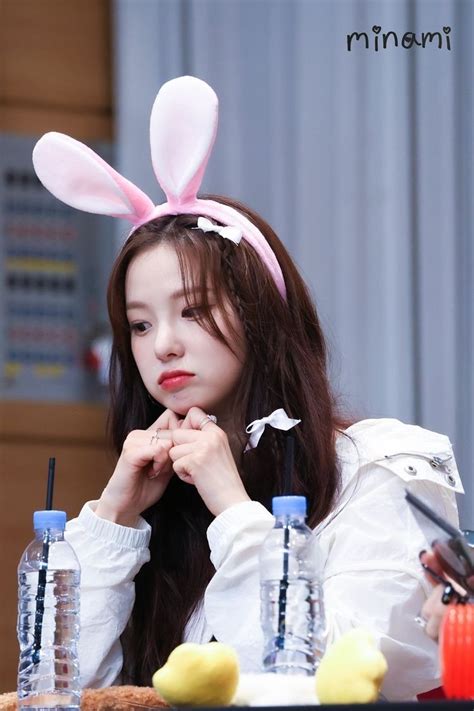 첫째 연예인잡담 에펨코리아