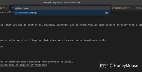 vscode 插件之 gitlens 知乎