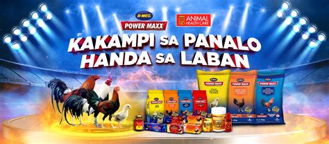 Team B Meg Powermaxx