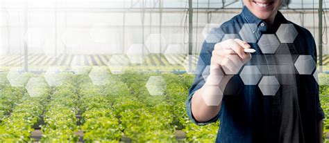 남자 농장 미래 지향적 인 배경 스마트 농부 Iot 스마트 농업 Ai 기술 모니터링 시스템 성장 식물 자동화 센서 로봇 스마트 농업 산업 미래 인터넷 사물 기술 테크놀로지에