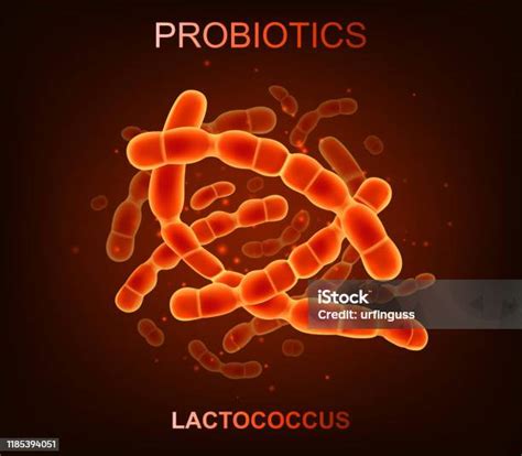 프로바이오틱 박테리아 좋은 미생물 개념은 검은 배경에 격리 벡터 사실적인 유균 Mrsa에 대한 스톡 벡터 아트 및 기타 이미지