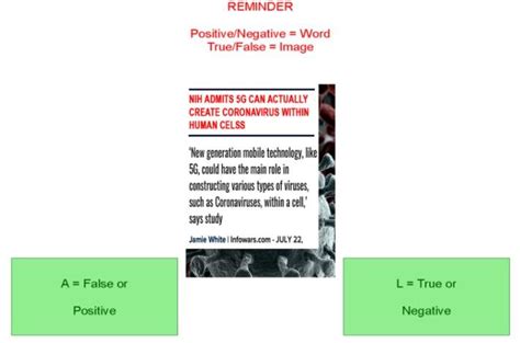 Example Of Iat Test Selection Download Scientific Diagram