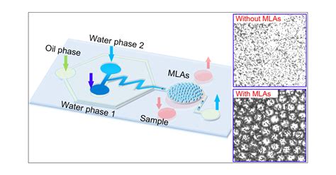 Tunable And Dynamic Optofluidic Microlens Arrays Based On Droplets