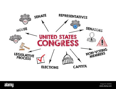 Legislative Branch Congress Chart