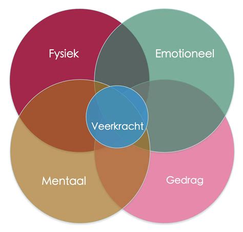 Veerkracht Ruud Van Oudenallen