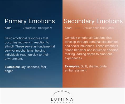 What Are Primary And Secondary Emotions In Addiction Recovery Lumina