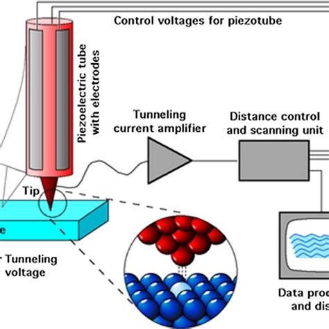 the schematic of scanning tunneling microscope [16] download