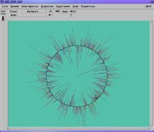 Efficient Hardware Accelerated Rendering For Genome Visualization Chair Of Computer Graphics