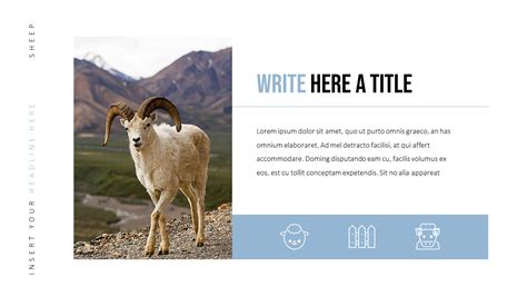 Sheep Best Powerpoint Templates Sheep Best Powerpoint Templates