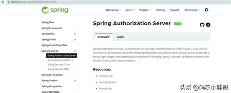 spring authorization server 0 3 0發布，文檔上線，需要java 11 資訊咖