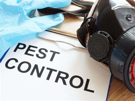 Bronx Pest Control Company Local Bronx Exterminator