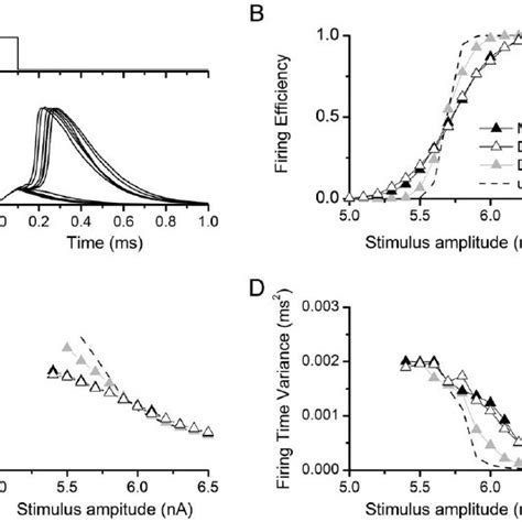 Spontaneous Firing In The Hodgkin And Huxley Squid Axon Model Sample Download Scientific