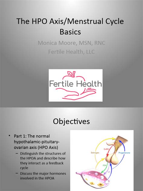 Hpo Axis 2019 Pdf Menstrual Cycle Luteinizing Hormone