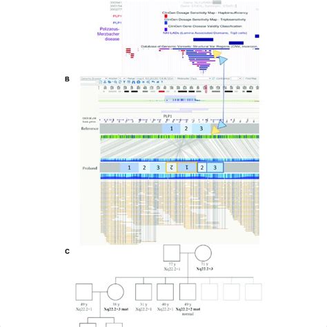 Genomic Elements Optical Genome Mapping And Segregation Results Of Download Scientific