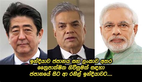 Sandra Pereras Instagram Twitter And Facebook On Idcrawl