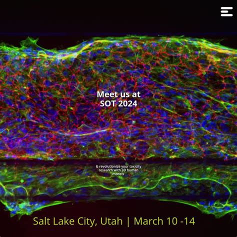 Sot2024 Toxicology Toxexpo Drugsafety Mimetas